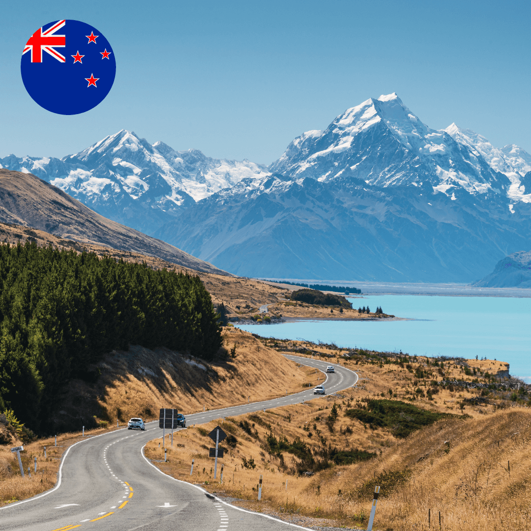New Zealand Visa for Business (Multiple Entry) – Matrix